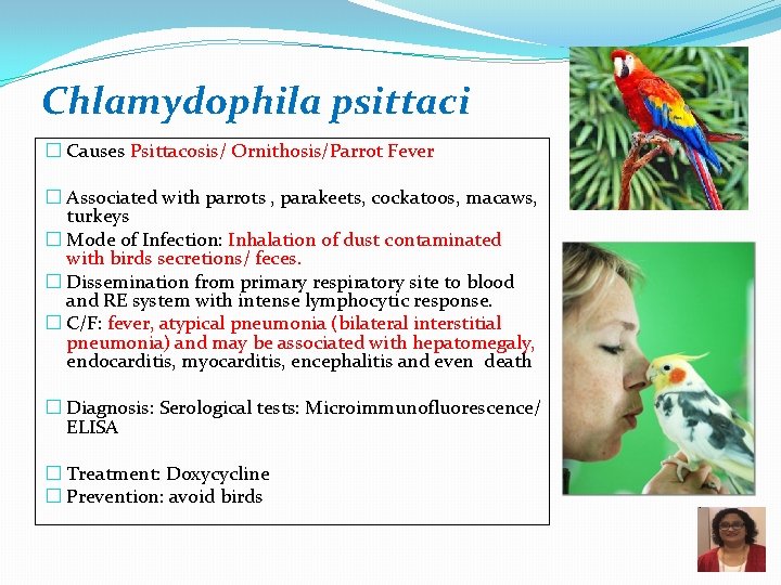Lower Respiratory Tract Infections Part 2 Bacterial infections