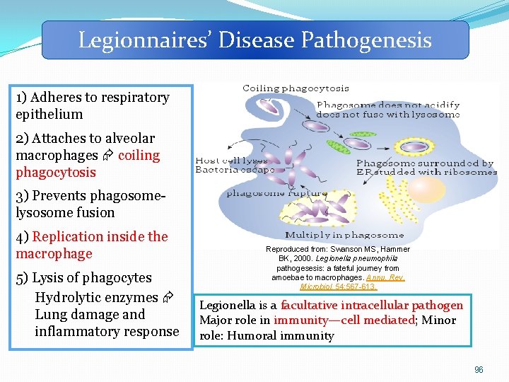 Lower Respiratory Tract Infections Part 2 Bacterial infections