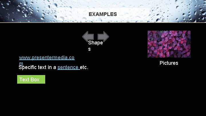 Hyperlinks in Power Point EXAMPLES Shape s www