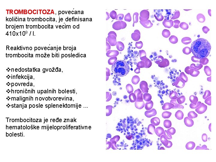 BRZA INTERPRETACIJE KRVNE SLIKE ILI KAKO ITATI KRVNU