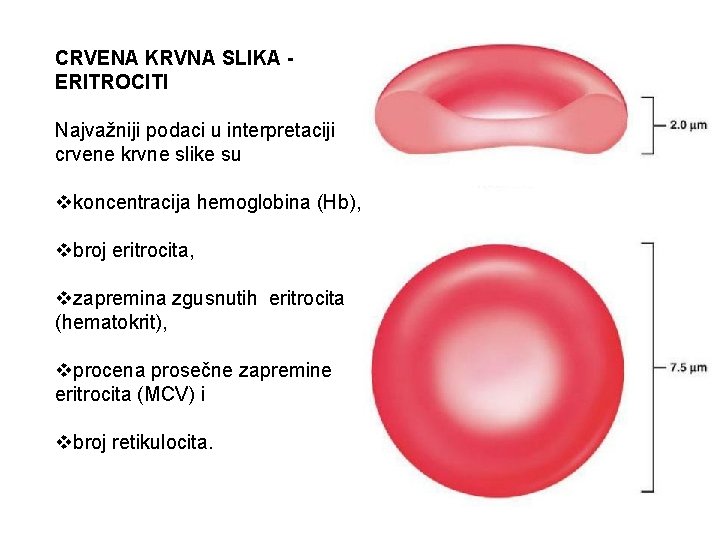 BRZA INTERPRETACIJE KRVNE SLIKE ILI KAKO ITATI KRVNU