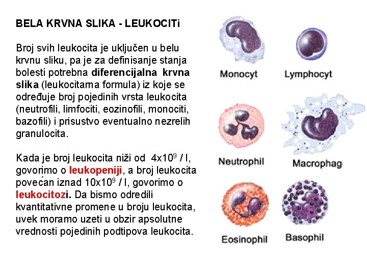 BRZA INTERPRETACIJE KRVNE SLIKE ILI KAKO ITATI KRVNU