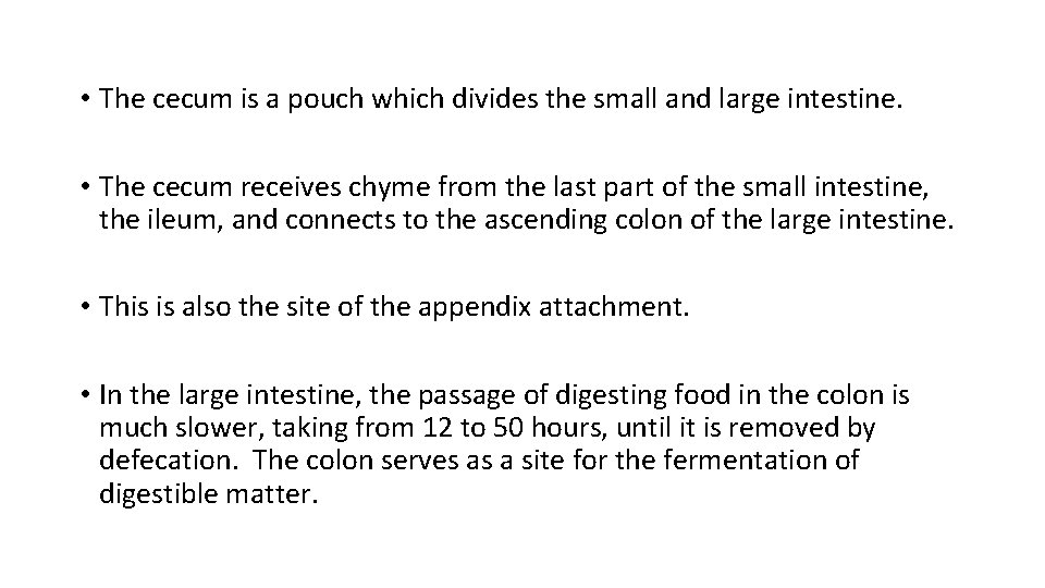 The Digestive System The human digestive system also