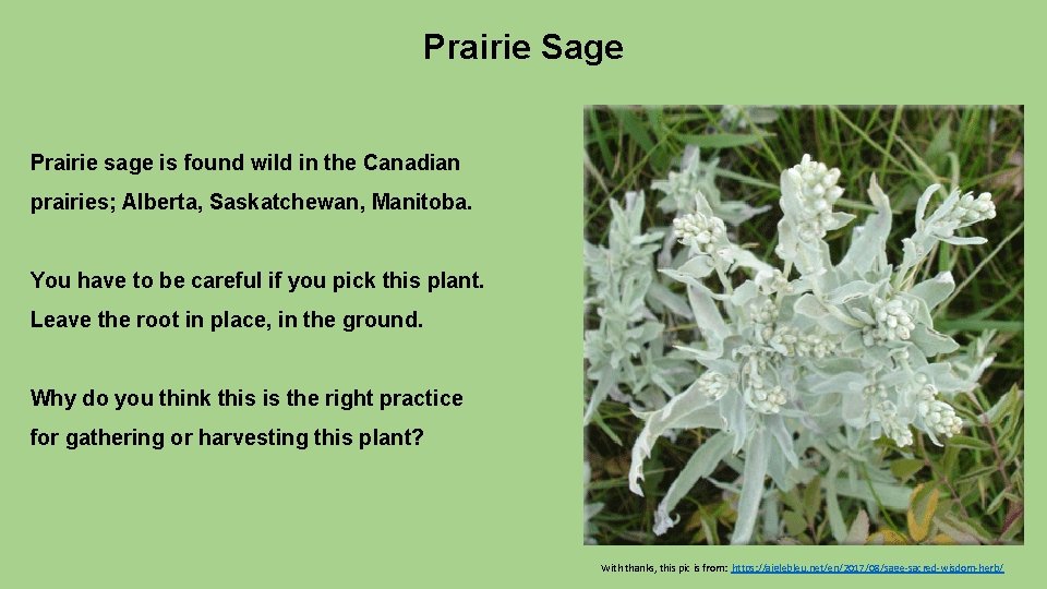 Outdoor Education Lesson 6 Grades Gr 3 6