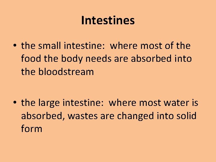 Digestive System Structure Abdominal Quadrants Abdominal Regions Mouth