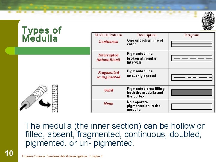 Chapter 3 The Study of Hair By the