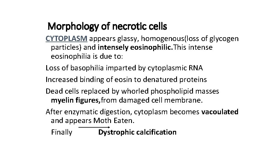 Necrosis Dr Hena A Ansari Deptt Of Pathology