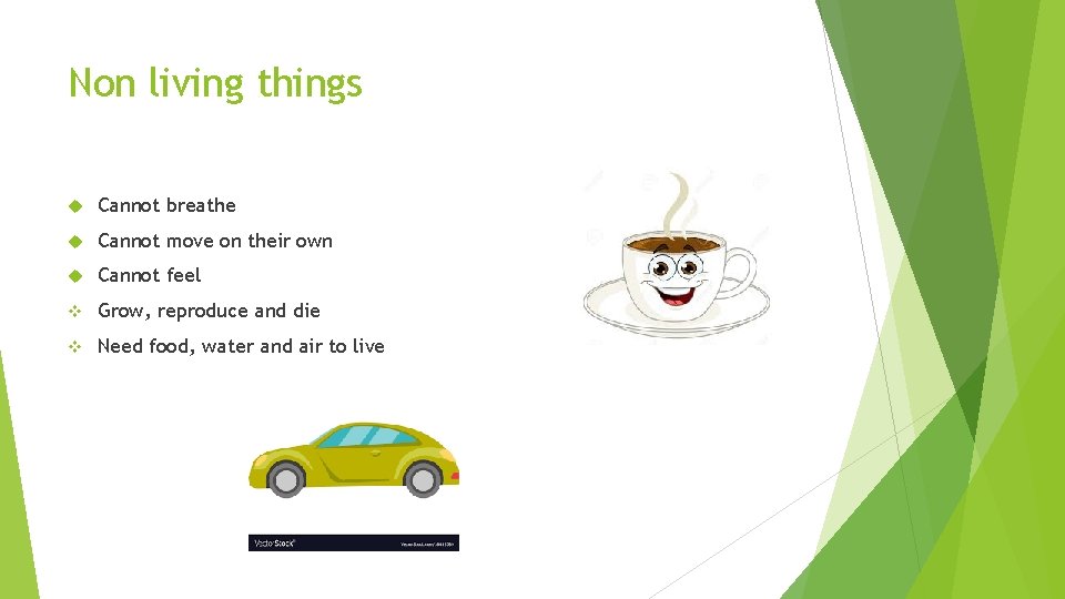 General Science Living and Non living Things Animals