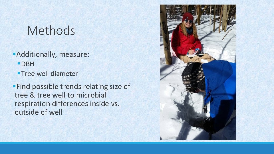 Aspen Tree Well Influence on Microbial Respiration CHLOE