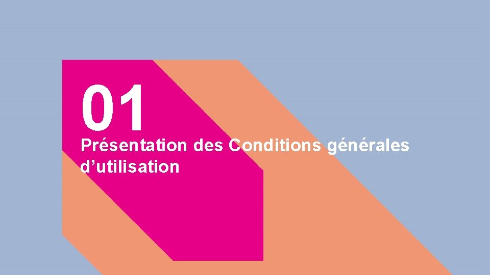 Webinaire CGU Comprendre les points clefs des CGU