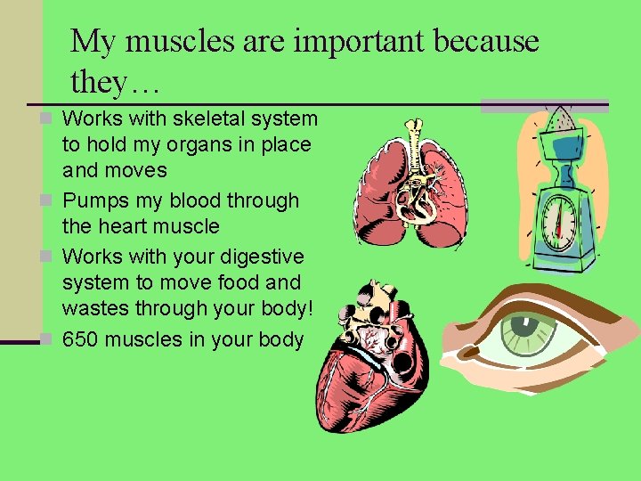 The Human Body The human body has 10