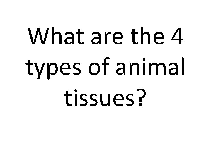 What are the 4 types of animal tissues