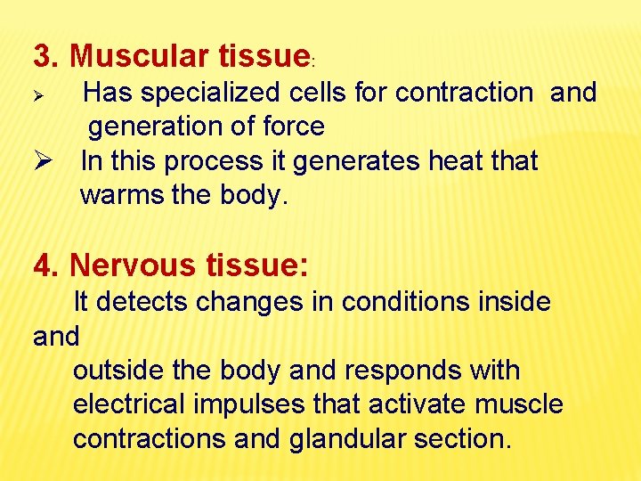 TISSUES BY DR Stella Selena M B B