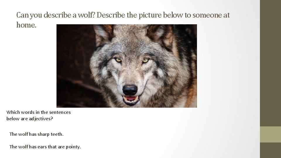 Welcome back to Year 2 English Hello Year