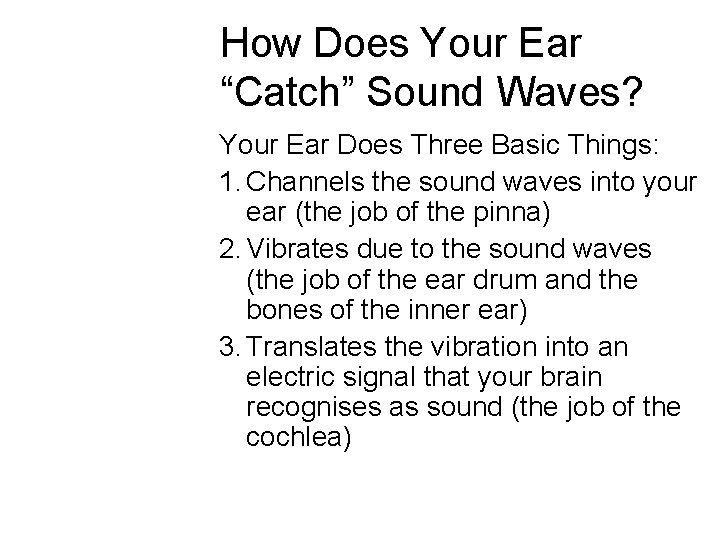 How Does Your Ear Catch Sound Waves Your