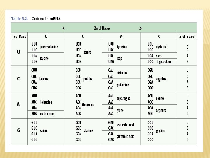 Chapter 5 INTRODUCTION TO STUDYING PROTEINS PPT shared