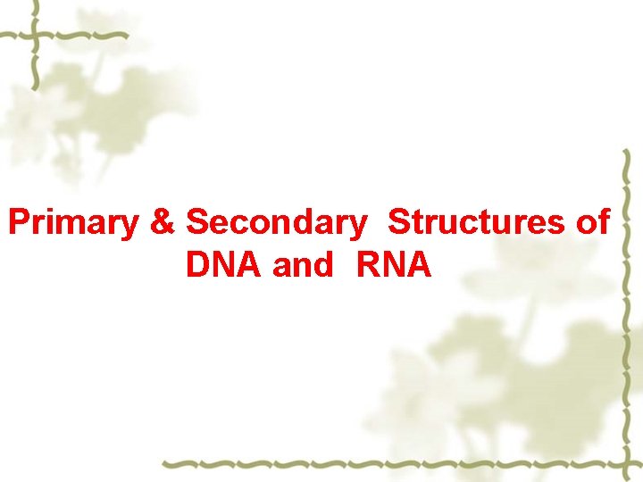 Primary Secondary Structures of DNA and RNA Objectives