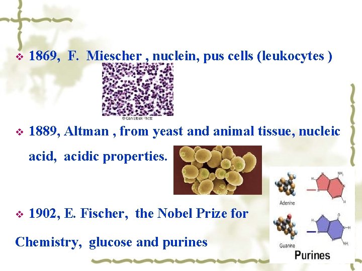 Primary Secondary Structures of DNA and RNA Objectives