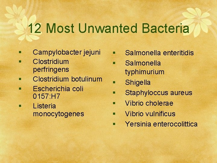 Understanding Bacteria Everywhere Food Safety and the Battle