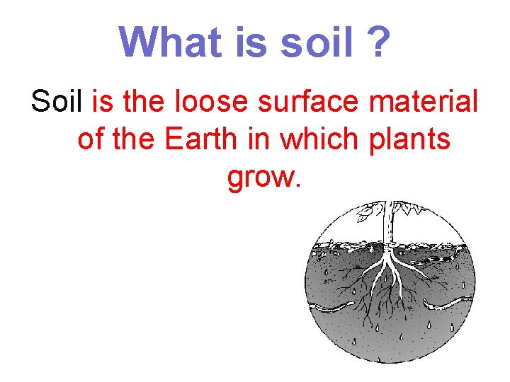SOIL What is soil Soil is the loose