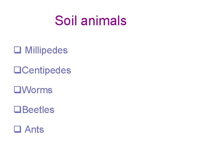 SOIL What is soil Soil is the loose