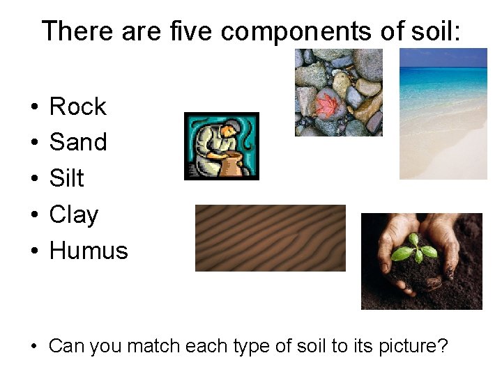 SOIL What is soil Soil is the loose