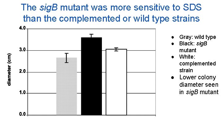 B is required for M tuberculosis stress response