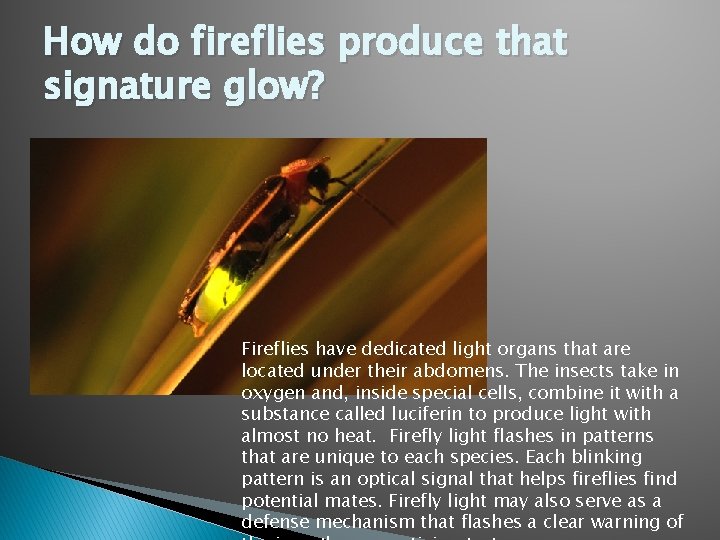 Insects and Insect Habitats Open your class notebook