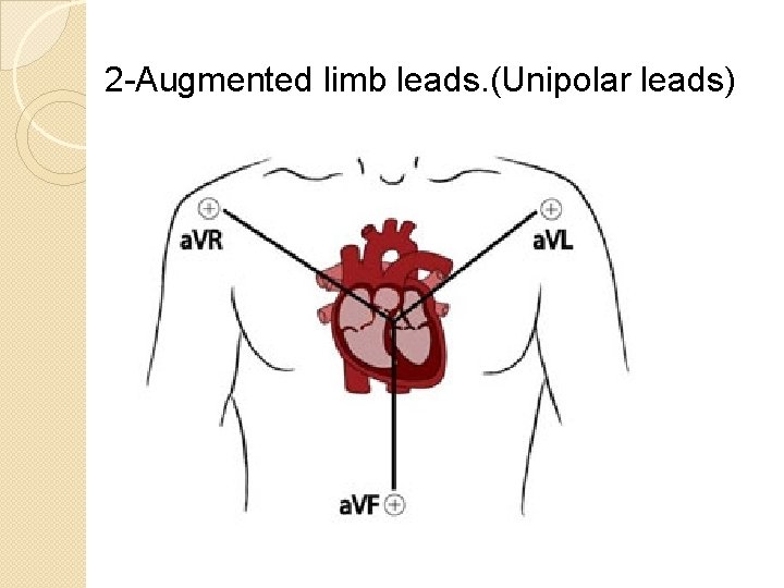 ElectrocardiogramECG Outline 1 Definition 2 Purpose 3 Equipments