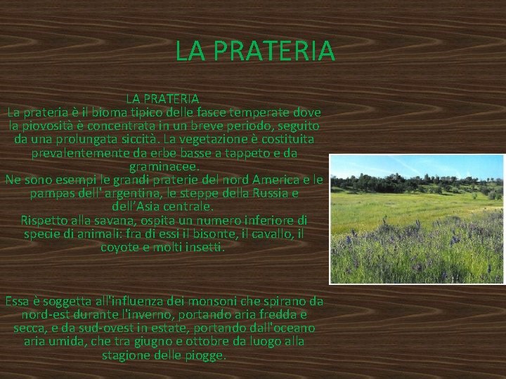 AMBIENTI TERRESTRI LA PRATERIA CLASSE ANNO SCOLASTICO DISCIPLINA