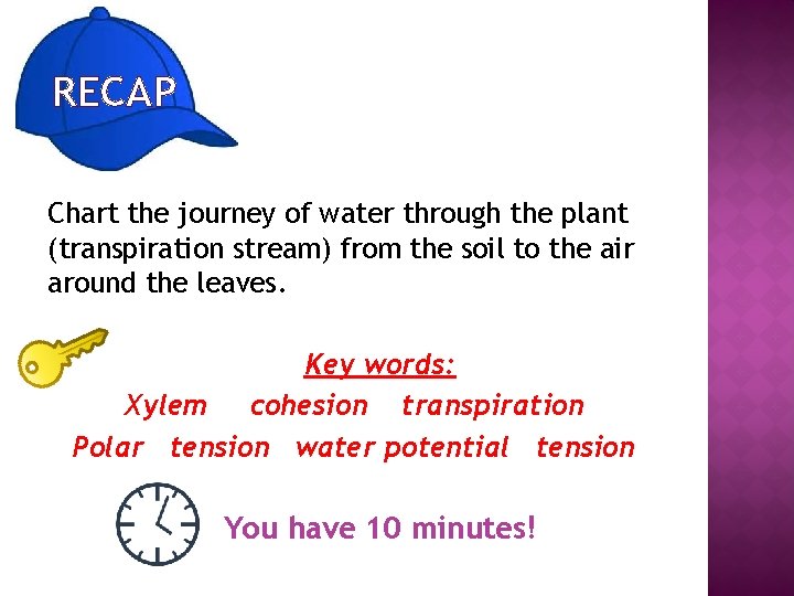 RECAP Chart the journey of water through the