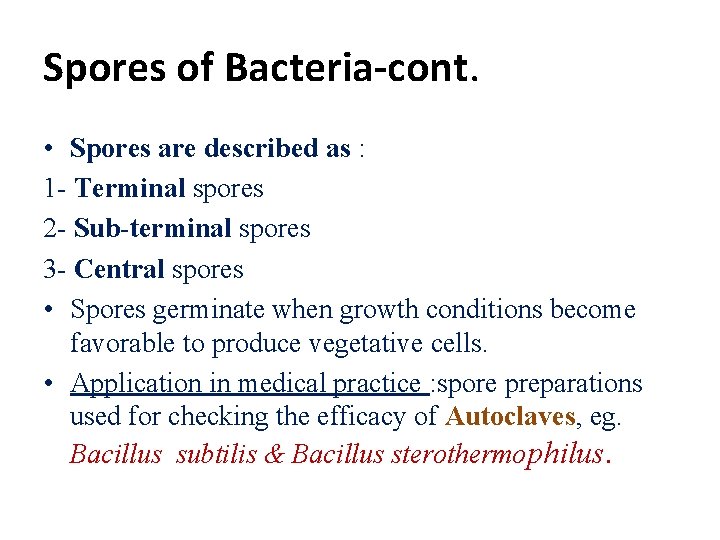 Bacterial Structure Function Genetics Prof Hanan Habib College
