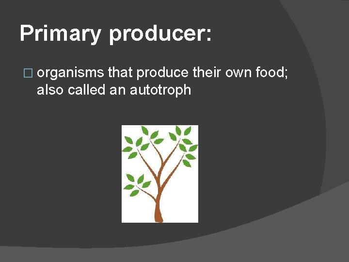 BIOGEOCHEMICAL CYCLES VOCABULARY Law of Conservation of Mass