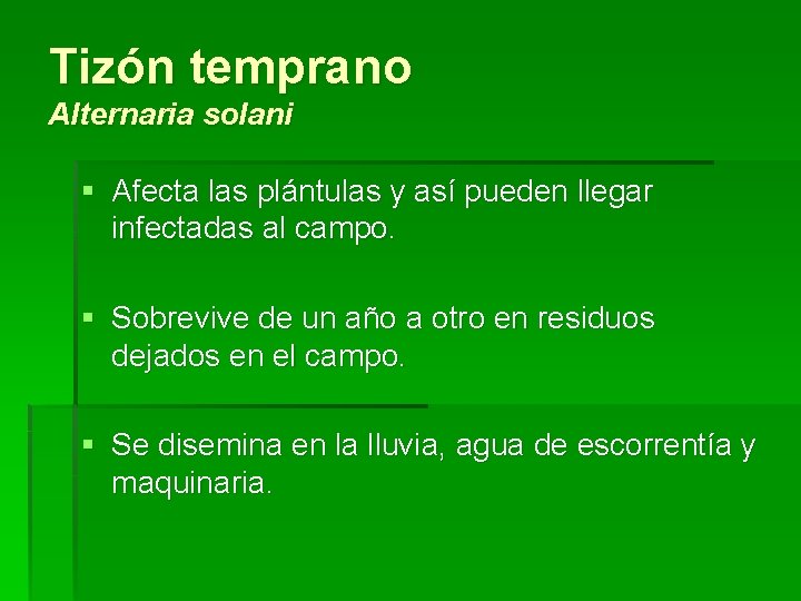 Identificacin y Manejo de Plagas en Hortalizas Wanda