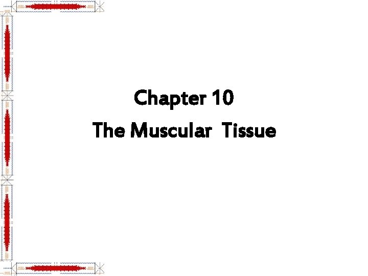 Chapter 10 The Muscular Tissue Muscles and Muscle