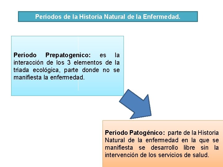Historia Natural de la Enfermedad Historia natural de