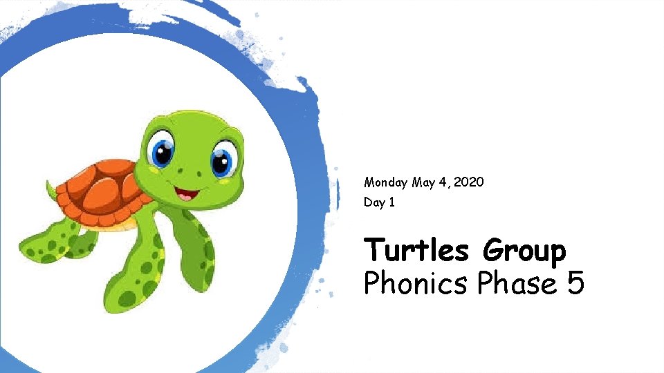 Monday May 4 2020 Day 1 Turtles Group