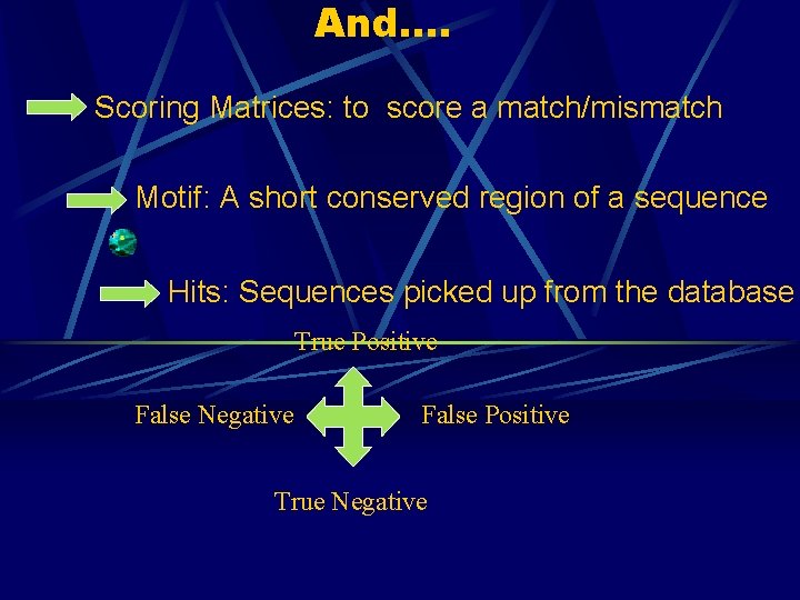 Speeding the Database Searches and Sequence Alignments with