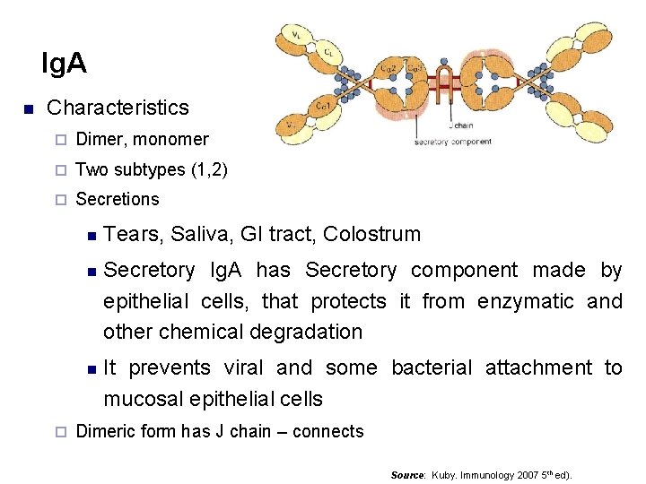 CHAPTER 8 Immunoglobulin Structure and Function Acknowledgements n