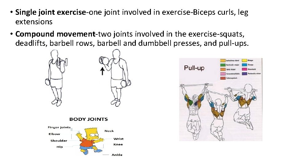 Strength Training By Kevin Williams Factors Influencing Strength