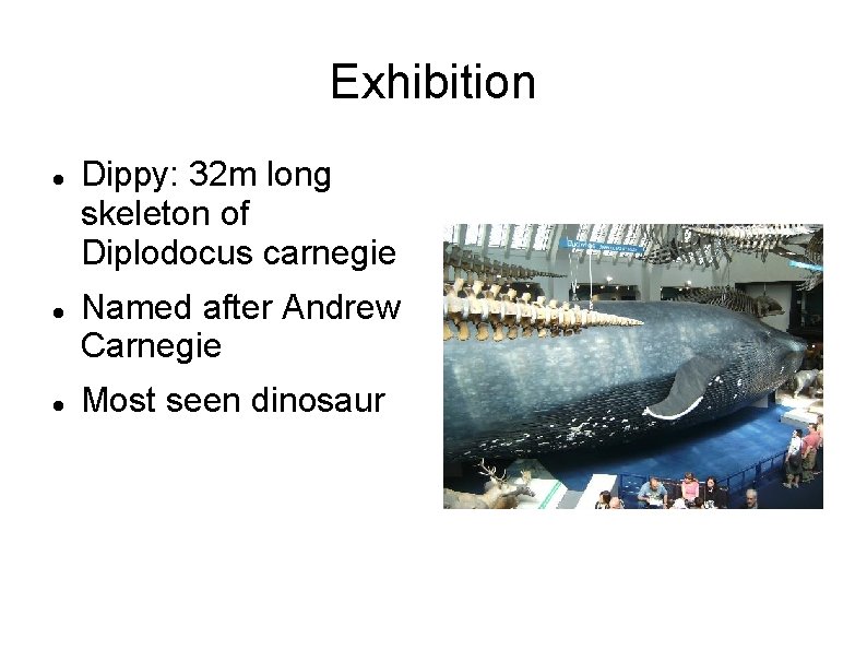 London museums Germo Hnerson October 2009 Natural History