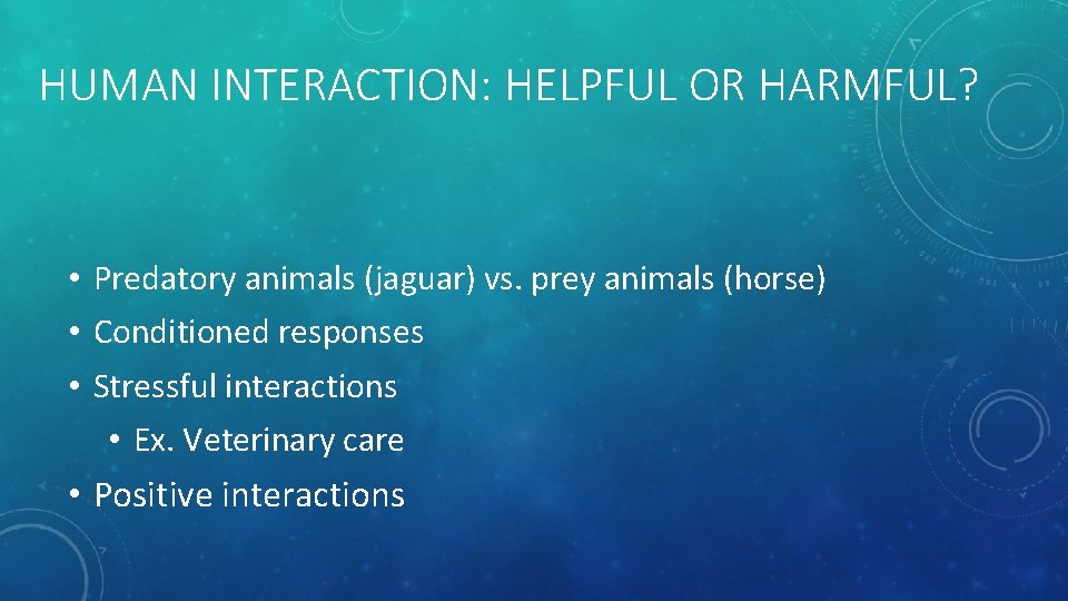 HUMANANIMAL INTERACTION TIFFANY BARTLETT LVT TARLETON STATE UNIVERSITY