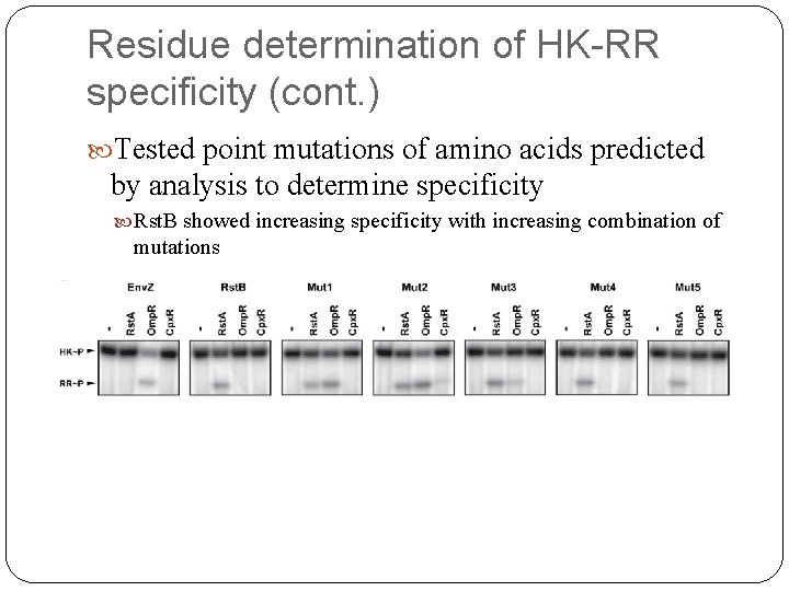 Rewiring the Specificity of Two Component Signal Transduction