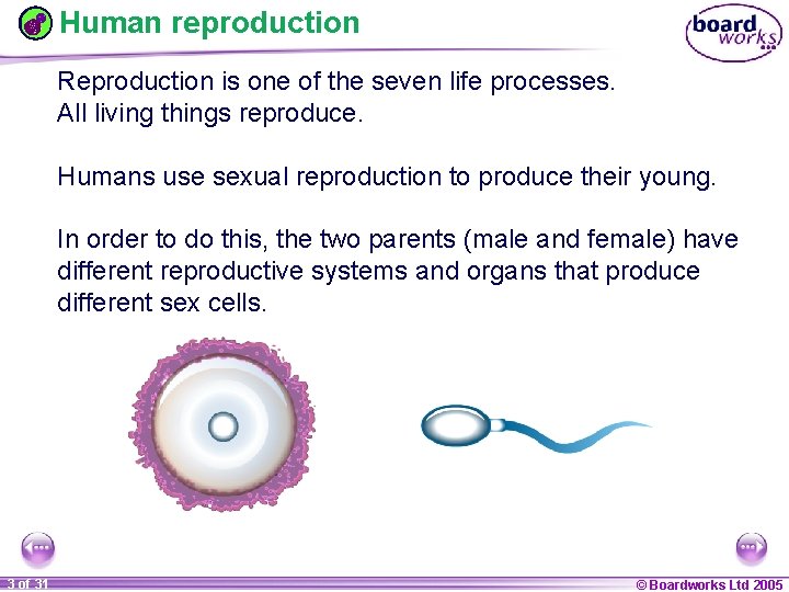 KS 3 Biology 7 B Reproduction 1 of