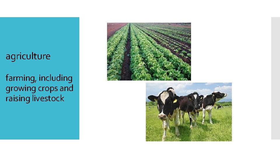 agriculture farming including growing crops and raising livestock