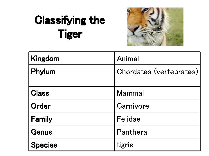 Classification BIOLOGY Unit 2 1 Double Award Unit
