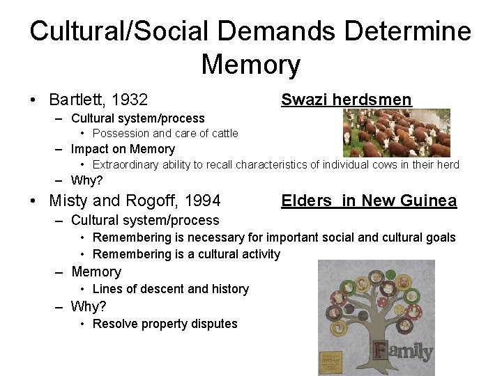 Social Cultural Factors Impact Cognition 3 9 Discuss