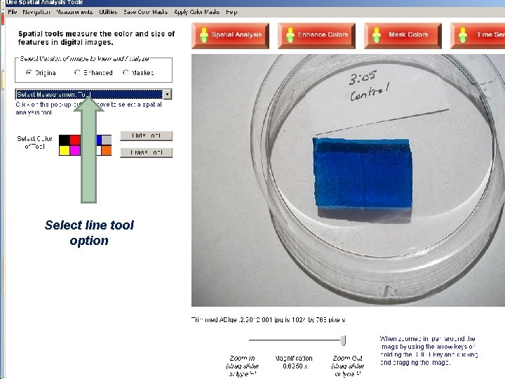 CO 2 Diffusion Through Gelatin Experiment Presented by