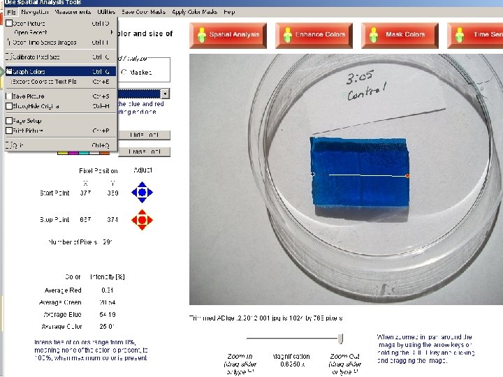 CO 2 Diffusion Through Gelatin Experiment Presented by