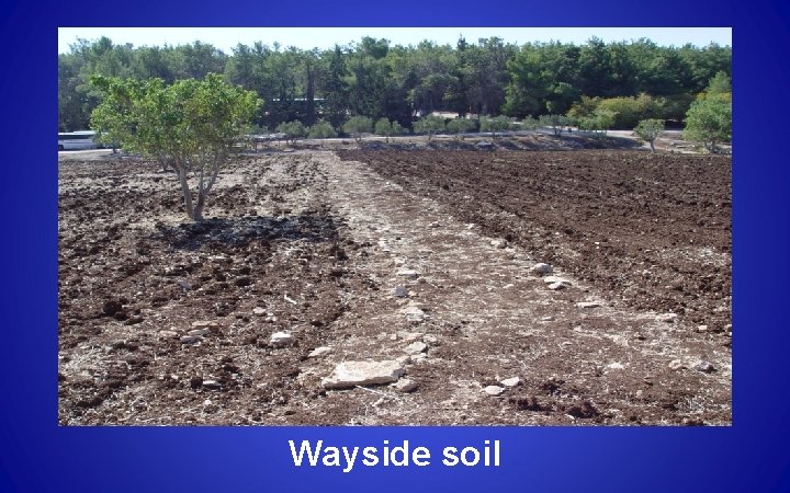 Parable of the Sower Part 1 Mk 4